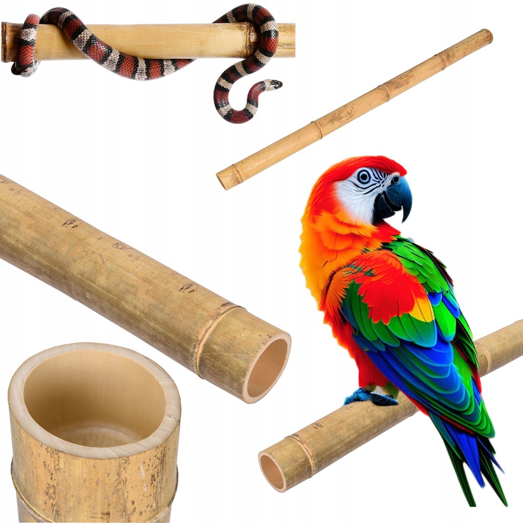 Tyczka pałka bambusowa naturalna patyk mocna do roślin dla zwierząt ...