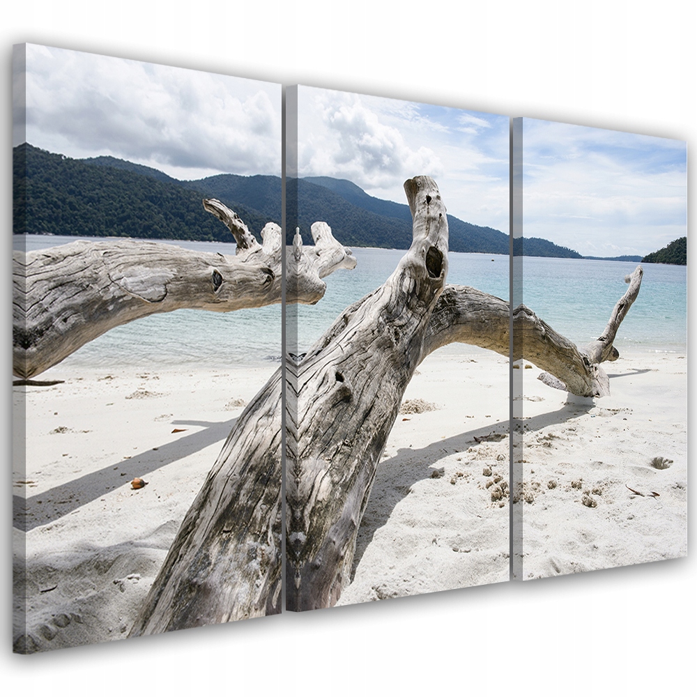 OBRAZ TRYPTYK DO SALONU Morze Plaża Drzewo 60x30 - 12012451849 - oficjalne archiwum Allegro
