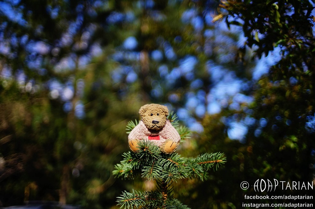 Konica HEXANON 40/1.8, mocowanie AR, 100% OK, SAMPLE - 15172848894 ...