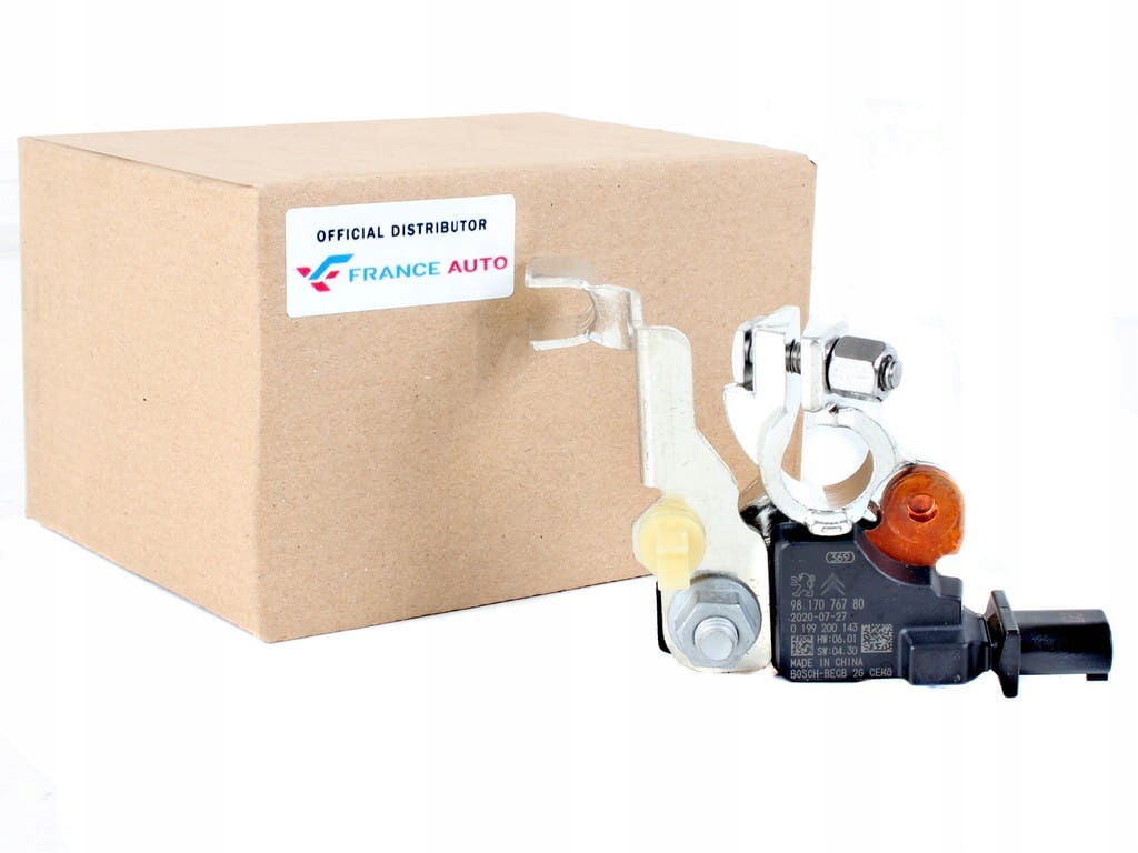 KLEMA MINUSOWA BEZPIECZNIK PEUGEOT 407 508 - 10942863849 - oficjalne ...