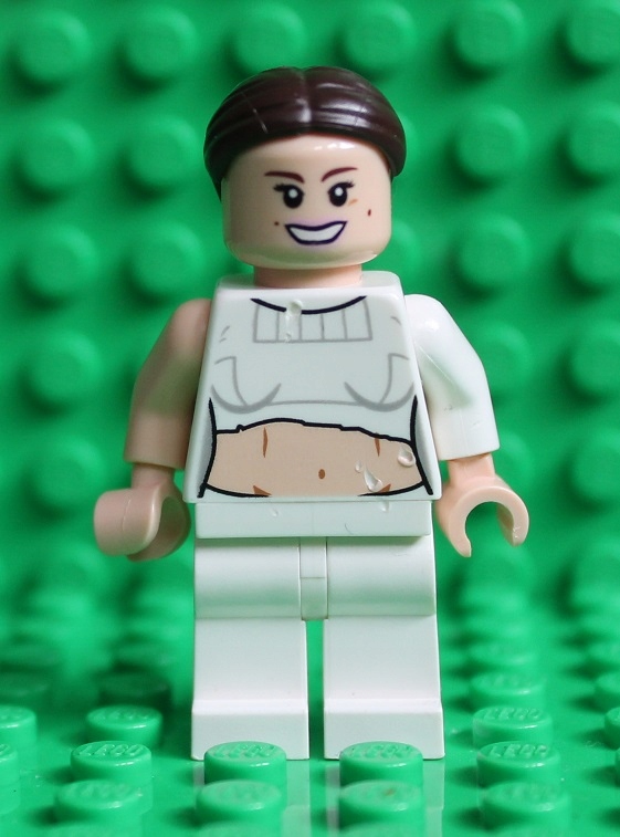 Lego Star Wars Padme Amidala Geonosis Arena sw0490 - 14749639960 ...