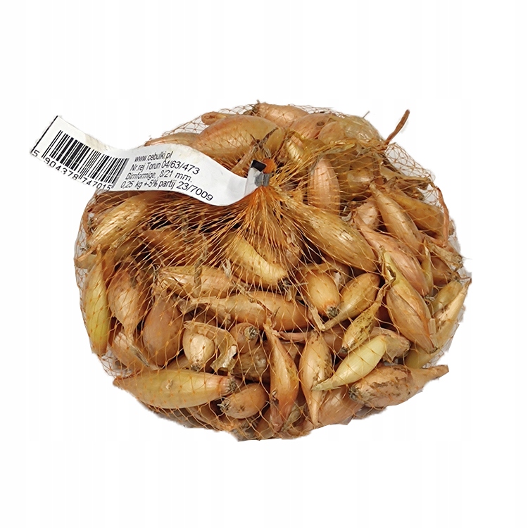 Cebula dymka cukrowa do sadzenia "Birnformige" 0,25 kg - 15131208279 ...