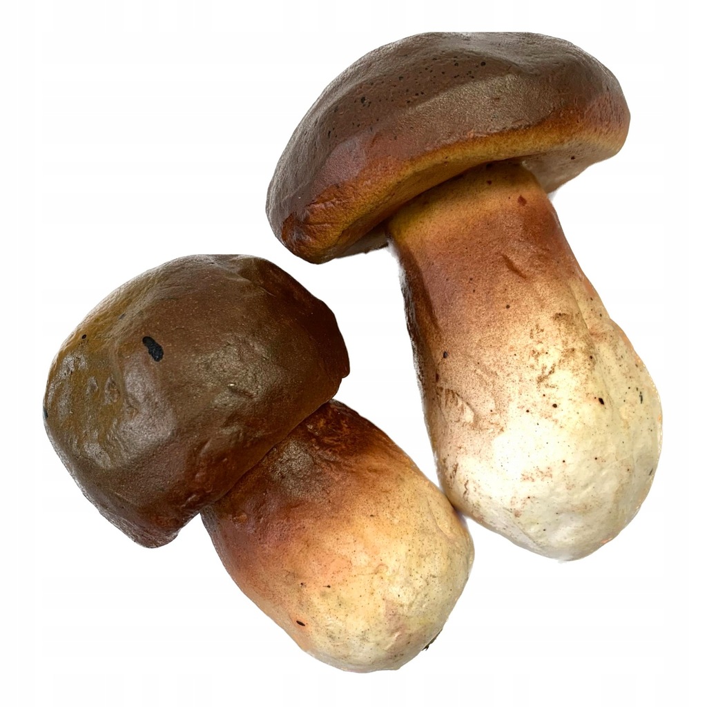GRZYB GRZYBY GRZYBKI PODGRZYBKI SZTUCZNE 2 szt. - 14189101400 ...