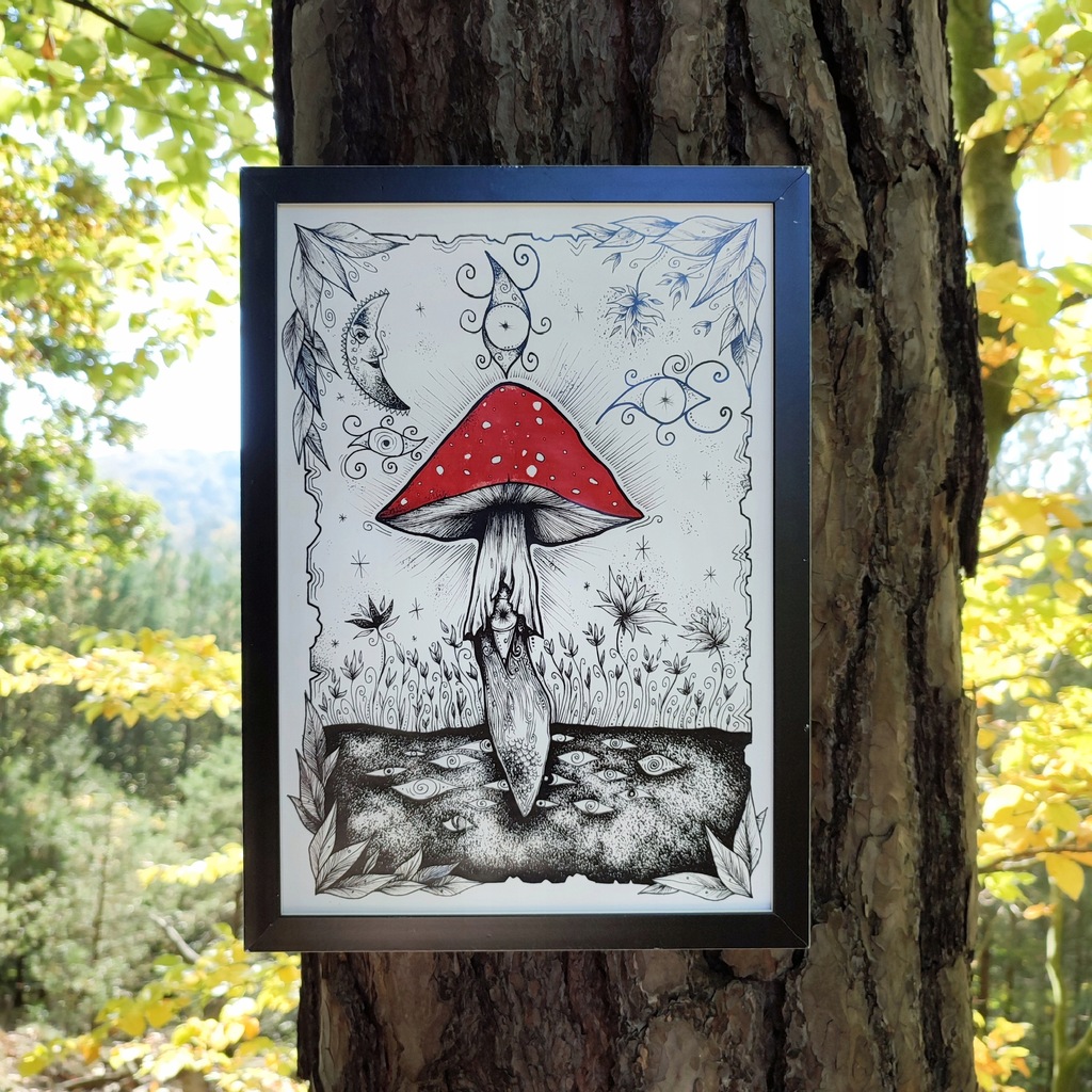 Plakat | Muchomor | Print | Rysunek | Grafika | A3 - 11295955304 ...