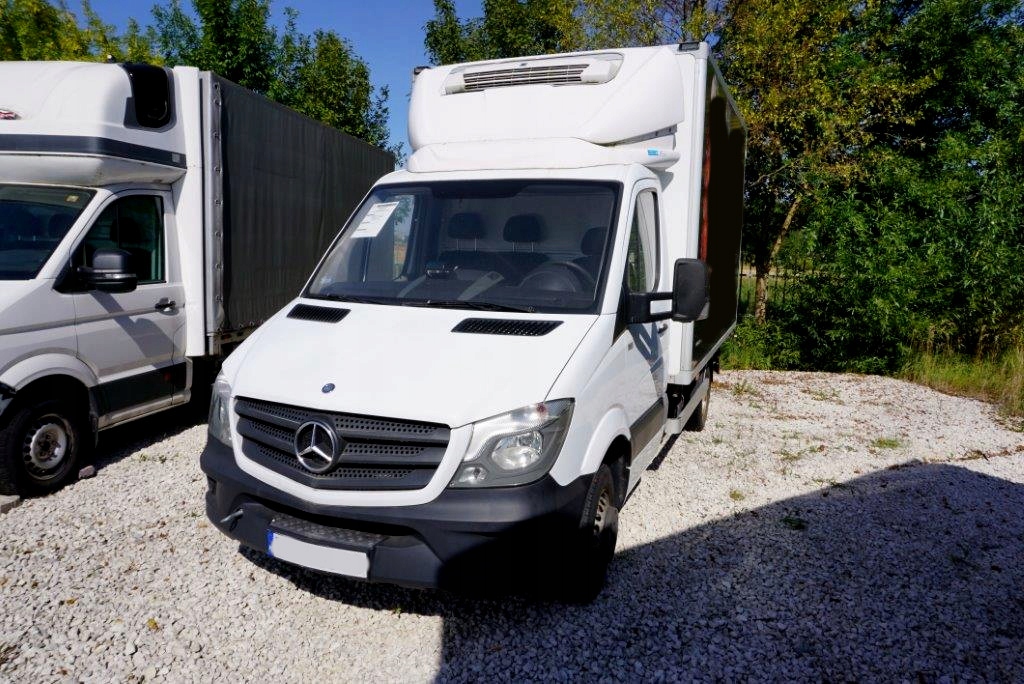 Mercedes Sprinter Sprinter 513 CDI - 13483302350 - oficjalne archiwum ...