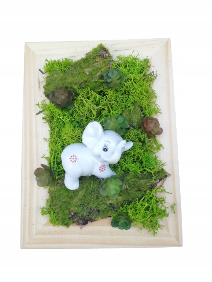 CHROBOTEK ŻYWY OBRAZ MECH PANEL DEKORACYJNY RAMKA - 12602536377 ...