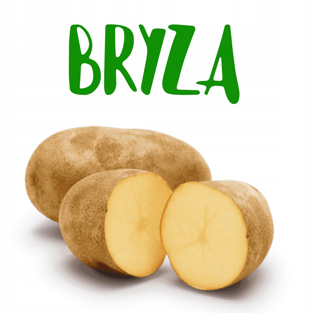 BRYZA Ziemniaki do SADZENIA Paszport 25kg PEWNE - 11837750749 - oficjalne archiwum Allegro