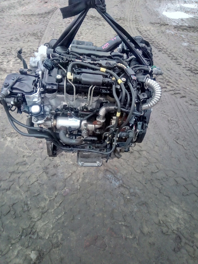 CITROEN PEUGEOT SILNIK 1.6HDI 9HY 9HZ DV6UTED4 110 - 9817732609 - oficjalne archiwum Allegro