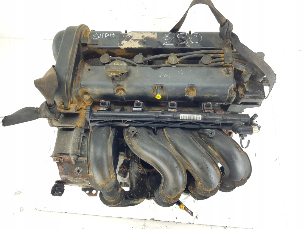 Silnik FOCUS MK2 CMAX V50 C30 S40 II 1.6 16V SHDA - 13270664458 - oficjalne archiwum Allegro