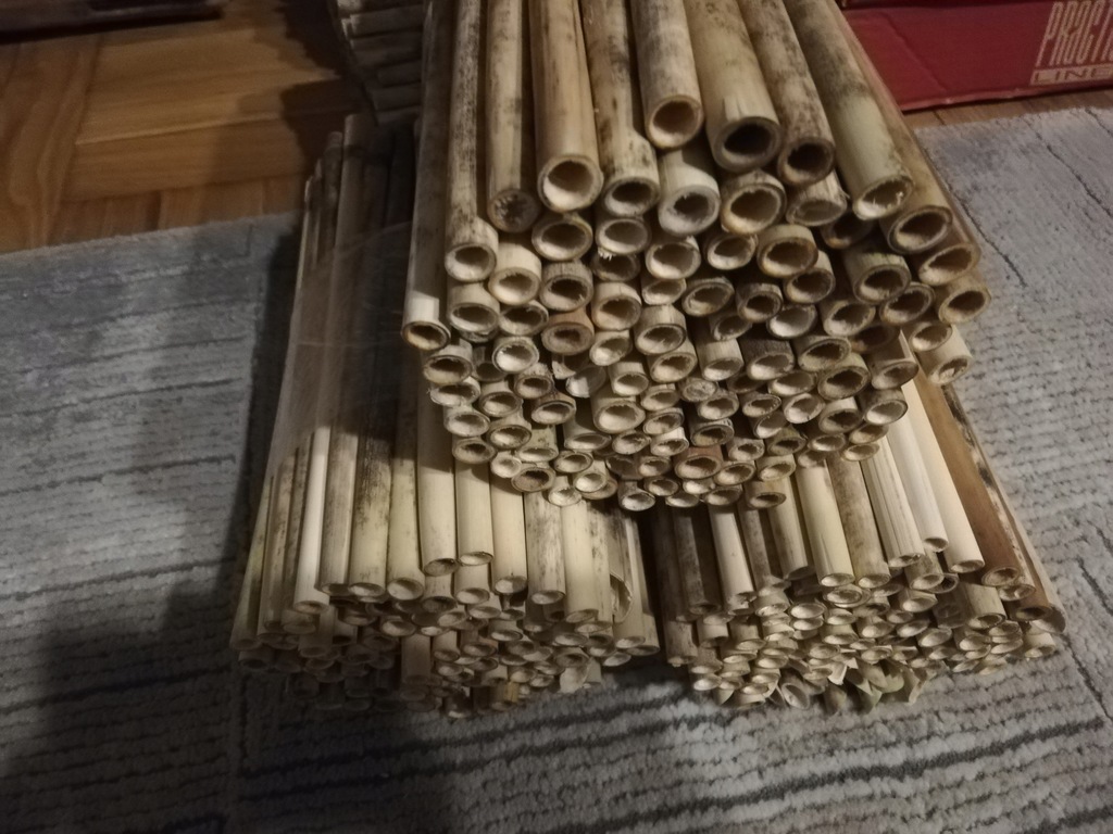 Rurka trzcina 24cm pszczoła murarka rogata 50szt - 11736824350 ...