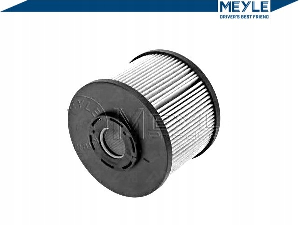 FILTR PALIWA CITROEN C4 Grand Picasso I 2.0 HDi 16 - 8152495775 - oficjalne archiwum Allegro