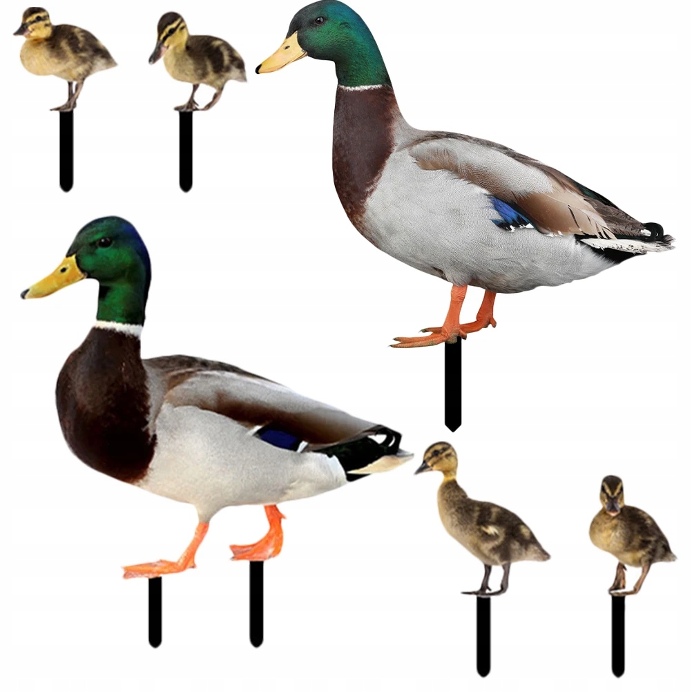 Garden Decoration Insert Duck Figurine Hen 6 Pcs - 13837363479 ...
