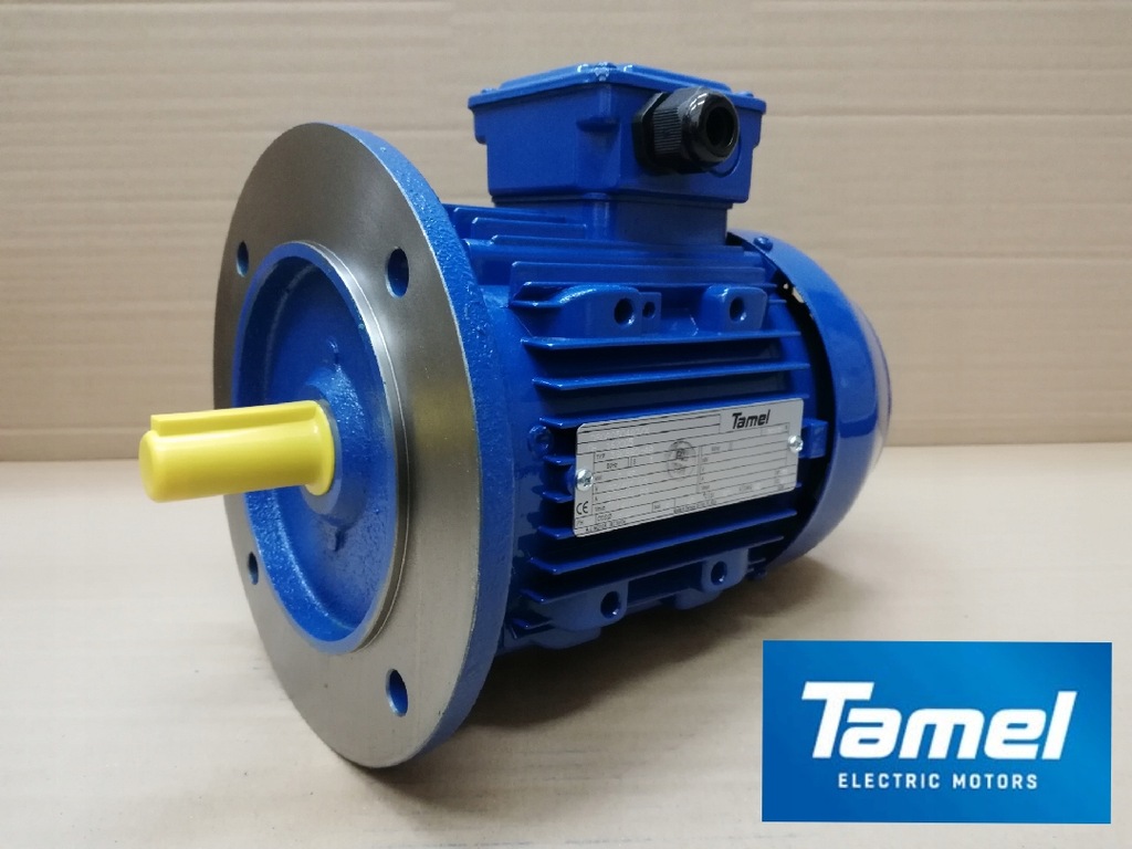 Silnik elektryczny 3SKg100L-4B 3kW/1415obr TAMEL - 7897653017 - oficjalne archiwum Allegro
