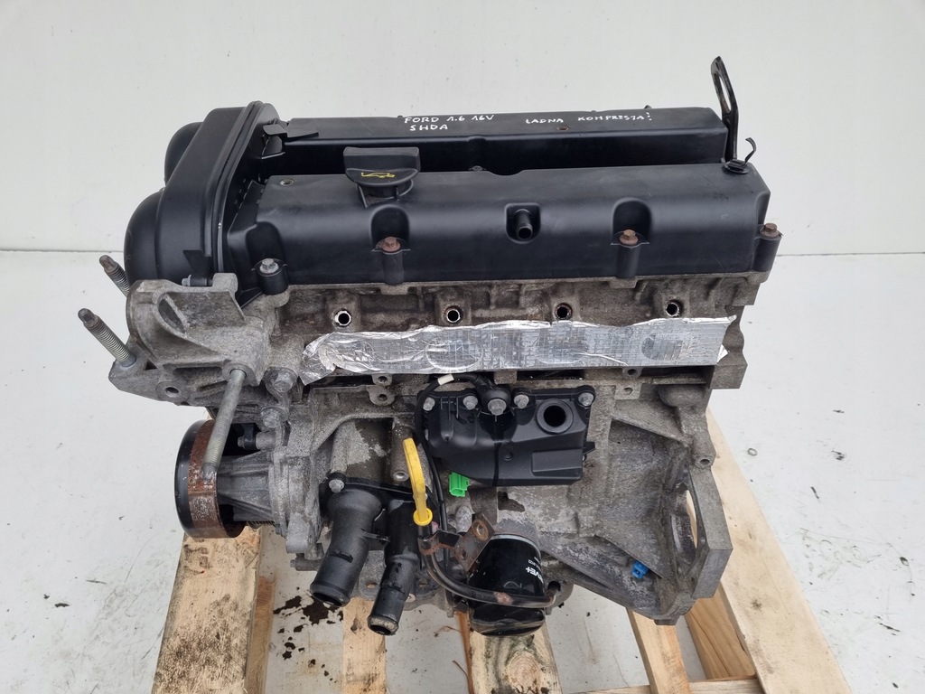 SILNIK Ford Focus II MK2 1.6 16V 100KM ładna kompresja SHDA SHDB HWDA HWDB - 16785587728 ...