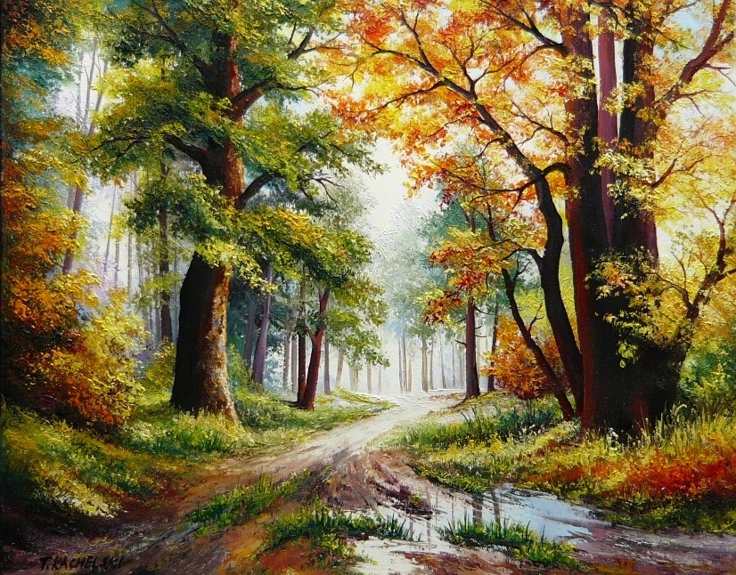 JESIENNY LAS - OBRAZ OLEJNY 50x40 - T.KACHELSKI - 7820162681 ...