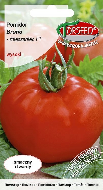 POMIDOR NASIONA SZKLARNIOWY WYSOKI BRUNO F1 0,1 G - 13425711262 - oficjalne archiwum Allegro