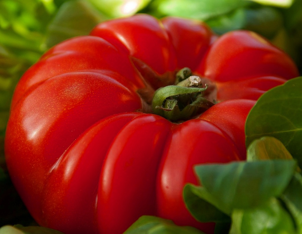 Pomidor Malinowy Olbrzym Wielkie Soczyste Pomidory - 7780089670 ...