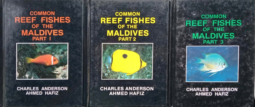Common Reef Fishes of the Maldives 1-3 Ryby rafowe - 12703110066 ...