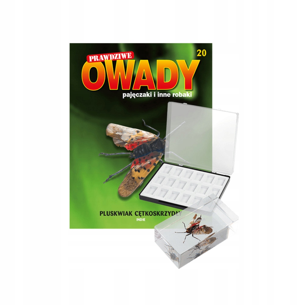 Kolekcja Prawdziwe Owady 20 PLUSKWIAK CĘTKOSKRZYDŁ - 13535025555 ...