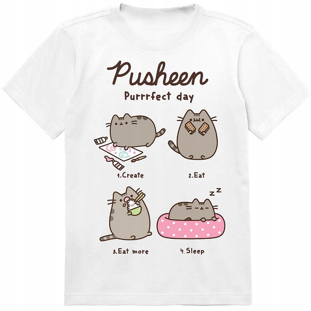 Pusheen The Cat Chopsticks Noodles T-Shirt Sheer