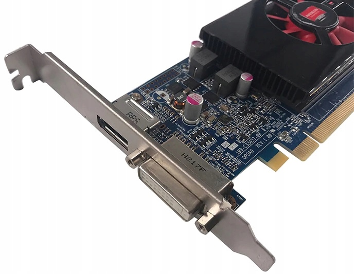 AMD ATI RADEON HD 7570 1GB GDDR5 DISPLAYPORT DVI - 8824932142 ...