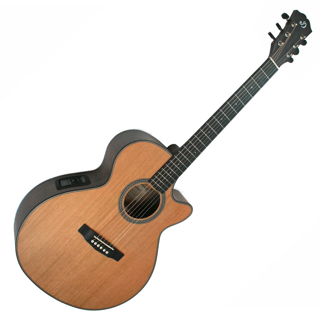 Dowina Rustica GACE + LR Baggs Stage Pro Element - 11805970968 ...