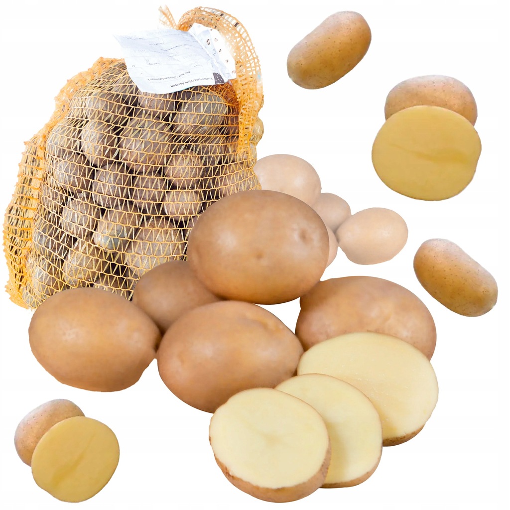 SADZENIAKI ZIEMNIAKI ODMIANA JUREK 25kg średnio wczesna worek smaczne bulwy - 17311838380 ...