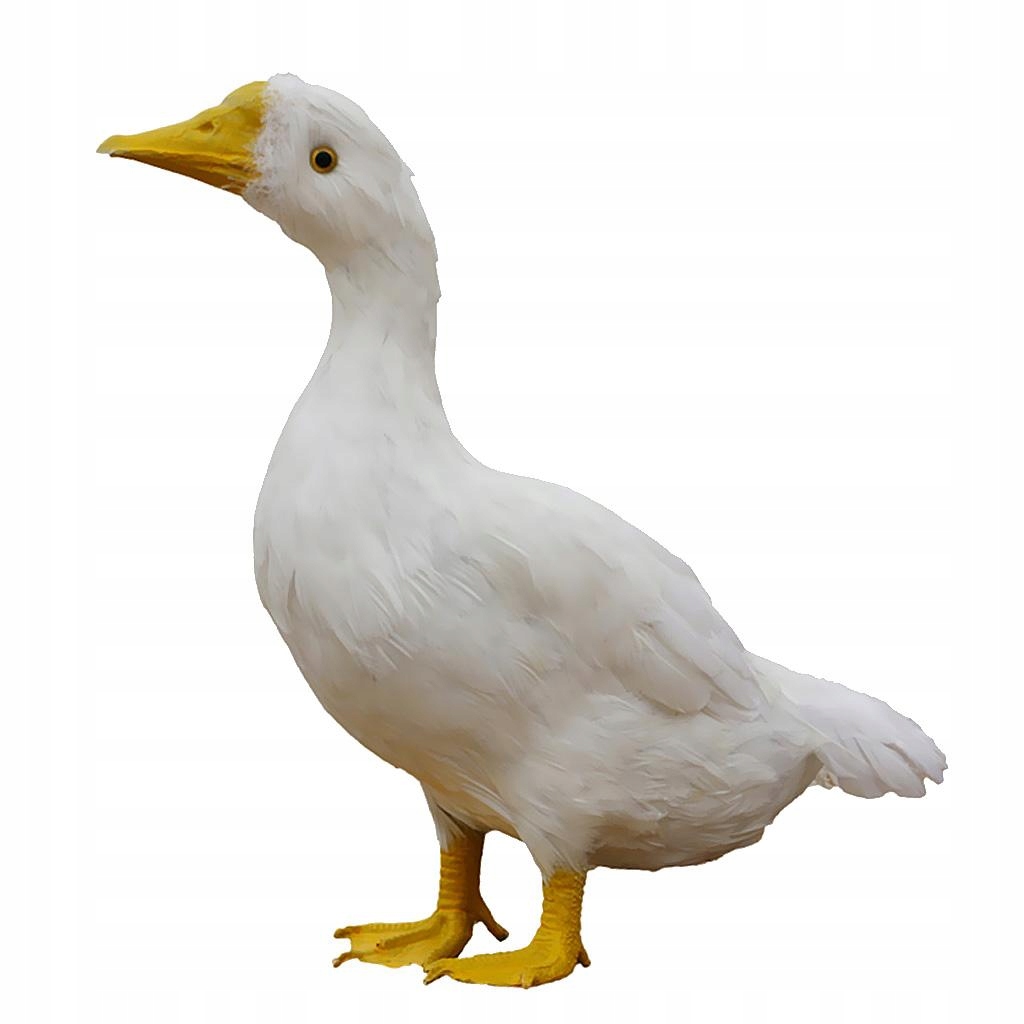 Artificial Goose Goosie Realistic Imitation - 13068236102 - oficjalne ...