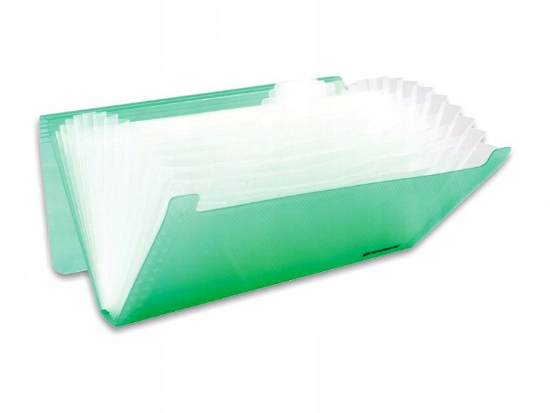 PENMATE AKTÓWKA Z 12-MA PRZEGRÓDKAMI Biurowa Teczka Organizer Na ...