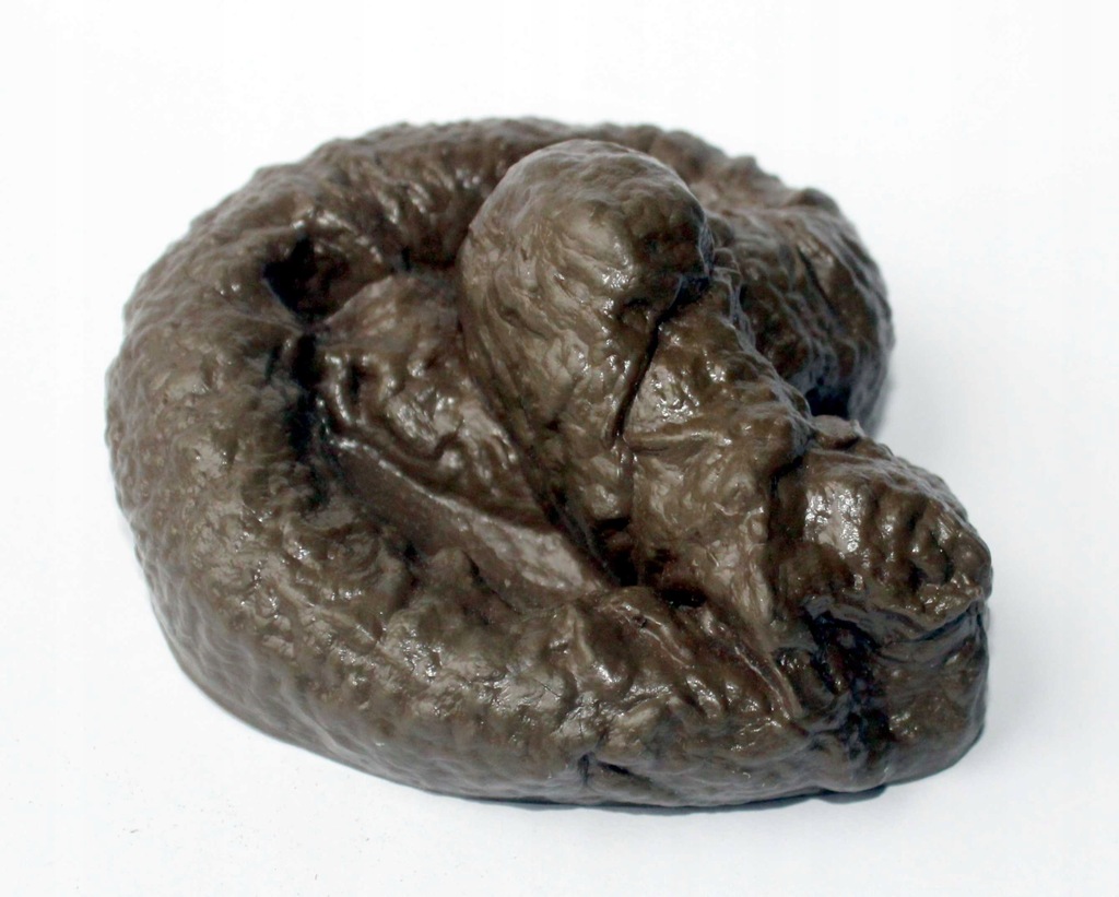 Brązowa SZTUCZNA KUPA gówno sraka kupka stolec - 14683479569 - oficjalne archiwum Allegro