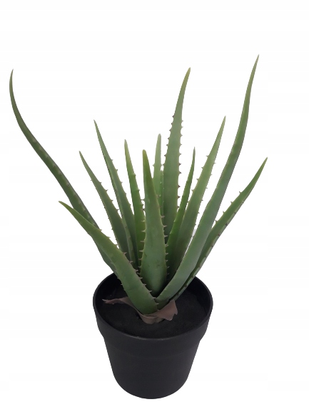 ALOES W DONICZCE sztuczna roślina ALOE VERA 43 cm - 11001594711 ...