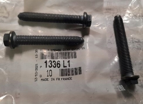 OE Citroen 1336L1 ŚRUBA KOŁNIERZOWA ROZRZĄDU - 11467572412 - oficjalne ...