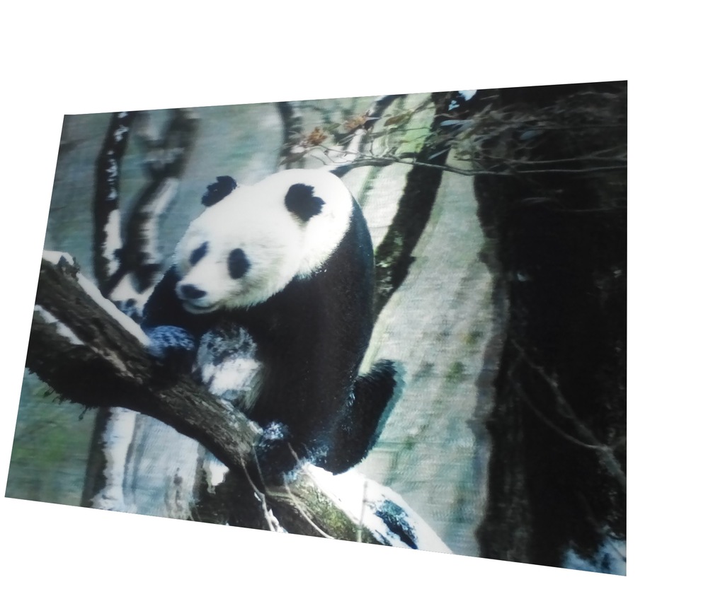 OBRAZ 3D OBRAZKI PANDA PANDY NA DRZEWIE 3 D 25 35 - 6827743666 ...