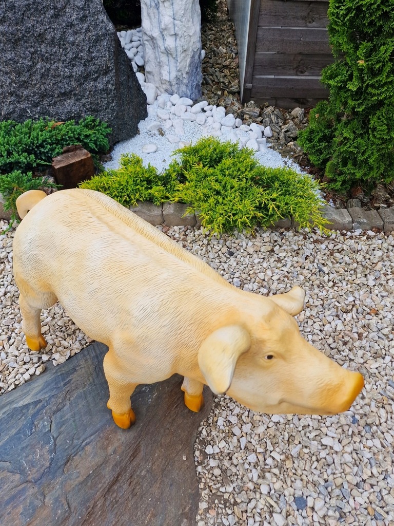 FIGURKA OGRODOWA - STOJĄCA ŚWINIA PROSIAK - 12322008589 - oficjalne ...