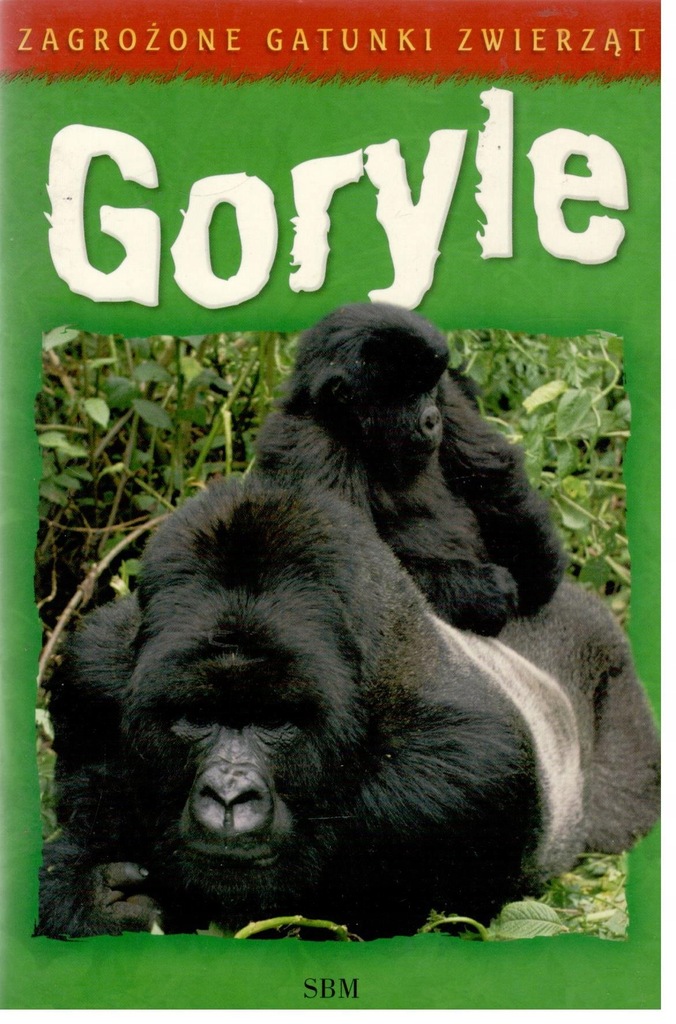 Zagrożone gatunki zwierząt goryle - 11743843983 - oficjalne archiwum ...