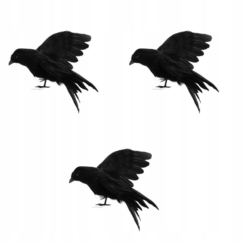 3x Wrona rysunek Ptaków wrona ptak - 12617909835 - oficjalne archiwum ...