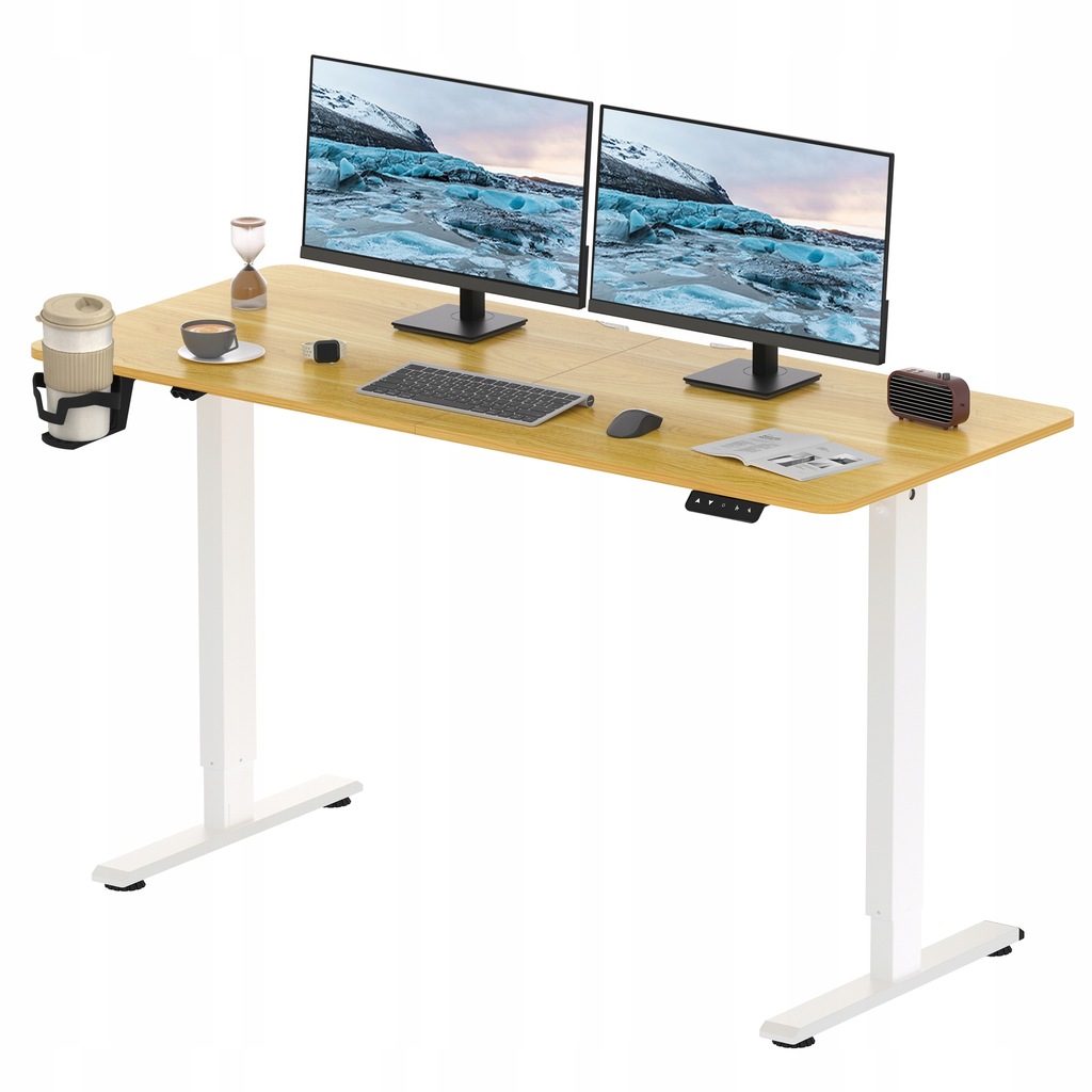 FLEXISPOT Electric Standing Desk Height adjustable Desk 140*60, Maple ...