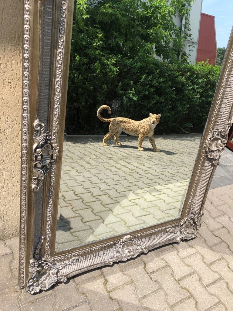 Купить ЗЕРКАЛО В СЕРЕБРЯНОЙ ПАТИНИРОВАННОЙ РАМКЕ 211/121 СМ: отзывы ...