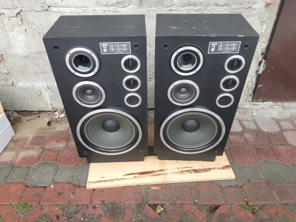 tonsil altus 75 po regeneracji głosników - 13169069452 - oficjalne ...