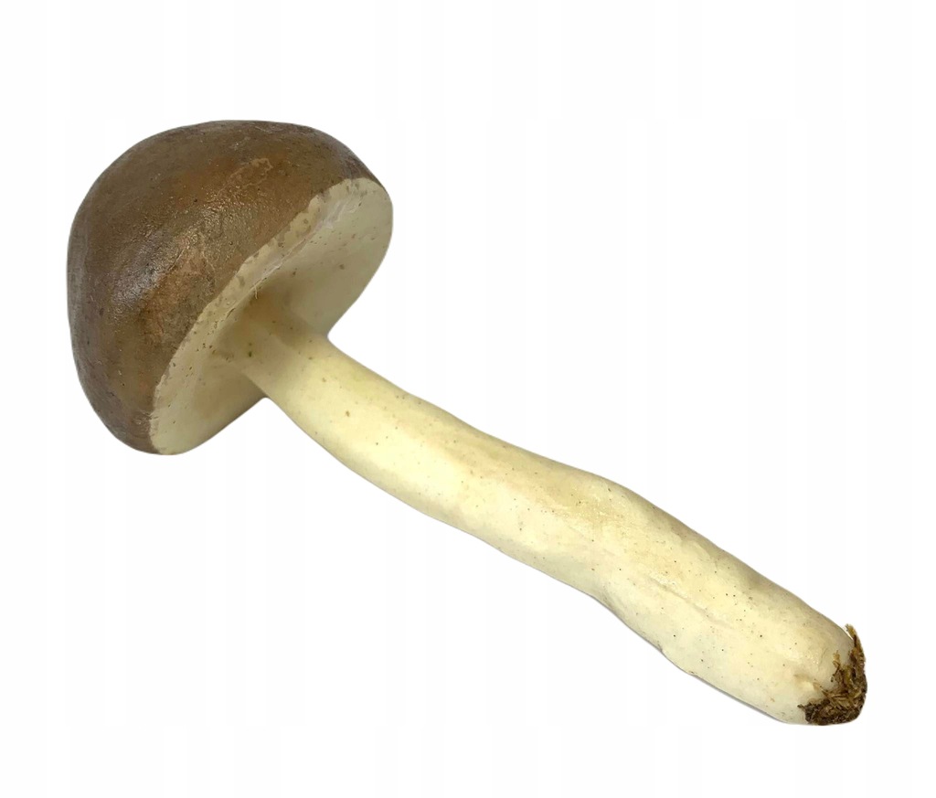 GRZYB GRZYBY GRZYBKI PODGRZYBKI SZTUCZNE 10 - 13319294675 - oficjalne ...