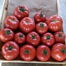 Pomidor Honey moon F1 holenderskie 10 szt - 13452159491 - oficjalne ...