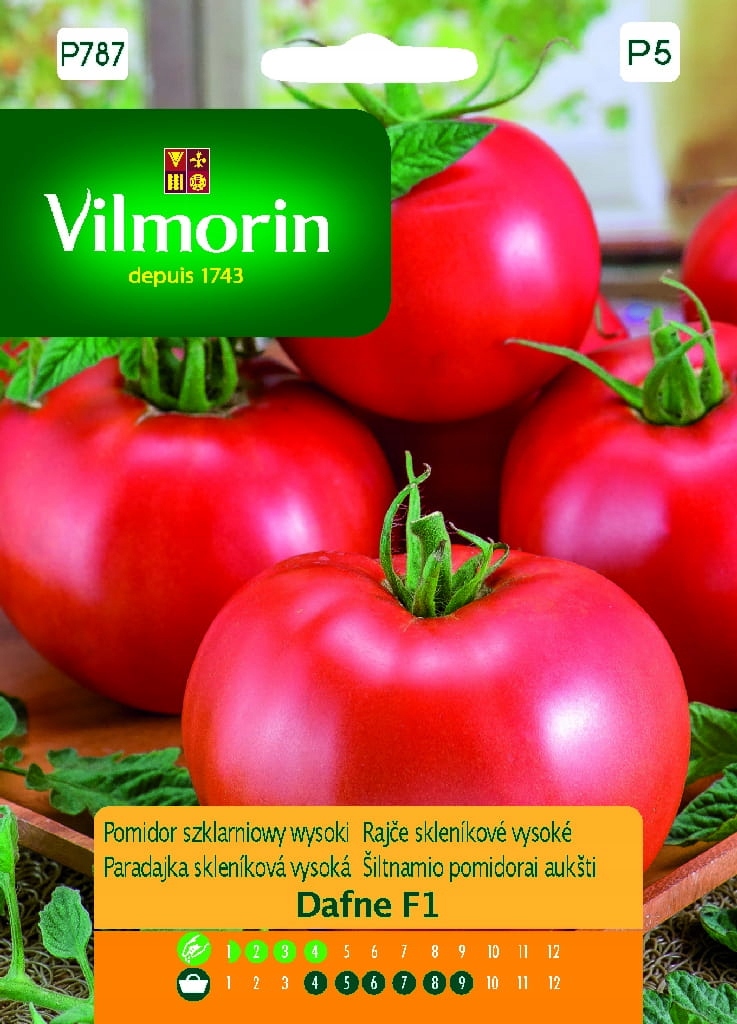 Pomidor szklarniowy wysoki Dafne F1 0,2g Vilmorin - 12902296519 - oficjalne archiwum Allegro