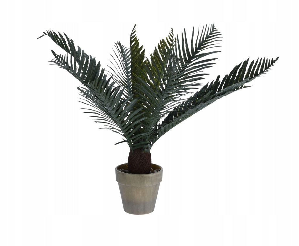 CYKAS PALMA SZTUCZNA ROŚLINA CYKAS 50 CM WZÓR 2 - 9349590440 ...