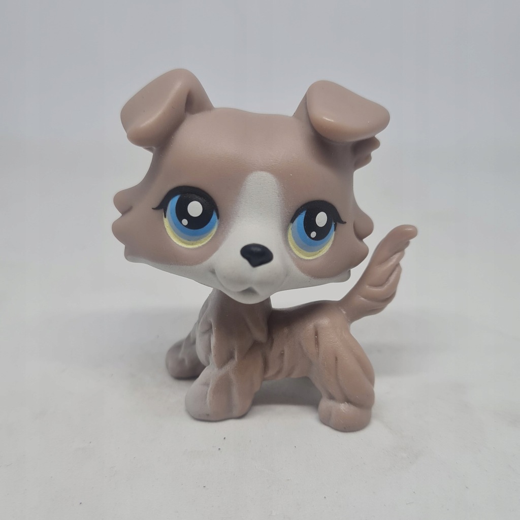 Lps collie #67 -100% oryginał przezroczysta rurka - 13121936481 ...