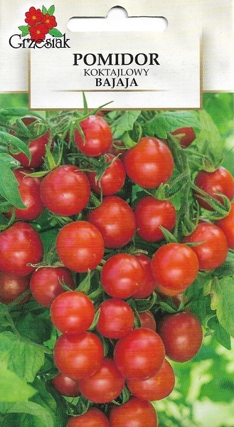 Pomidor koktajlowy BAJAJA pojemniki taras nasiona - 13099173866 - oficjalne archiwum Allegro