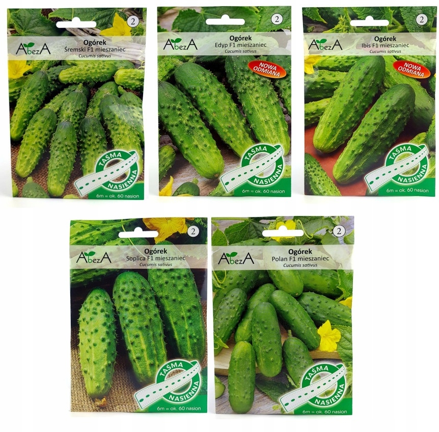 Zestaw 300 Nasion OGÓRKI Korniszon Kiszony Ogórek - 12837928188 ...