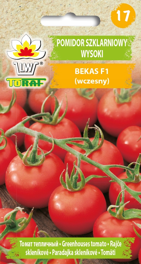 POMIDOR BEKAS WCZESNY Szklarniowy LW - 10596298219 - oficjalne archiwum Allegro