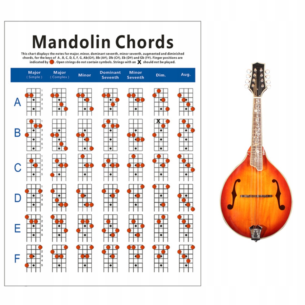 MANDOLIN CHORDS CHART POSTER POCKET FINGERBOARD - 15357534961 ...