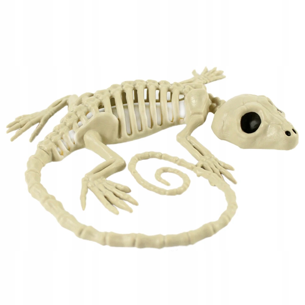 Kelton Frame Desk Topper Realistic Gecko Skeleton - 13945316237 ...