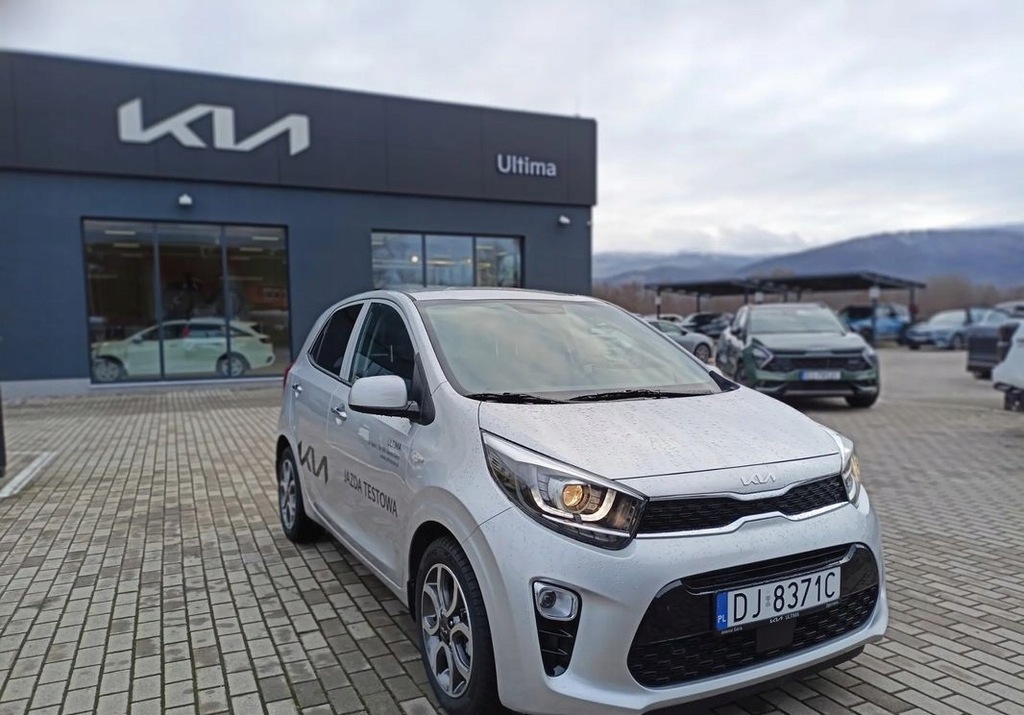 Kia Picanto Samochod od dealera Kia z minimaln... - 14906565579 ...